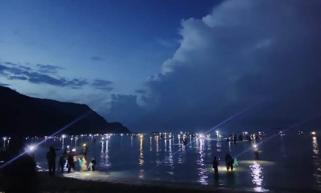 Menyelami Mitos dan Makna di Balik Festival Bau Nyale - koranlombok.id